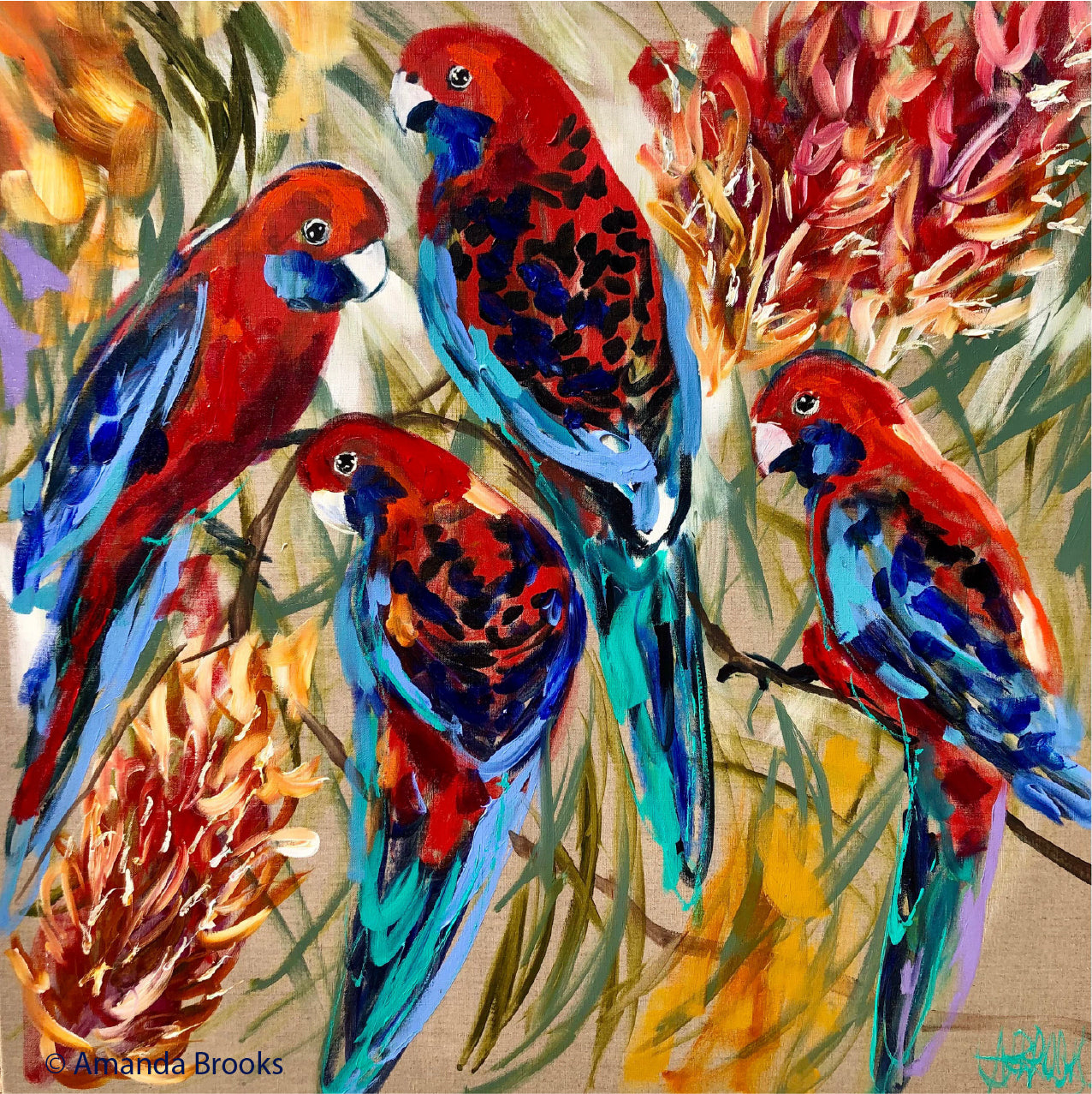 Lilli Rock Crimson Rosellas Coaster – Nest Homewares and Gifts